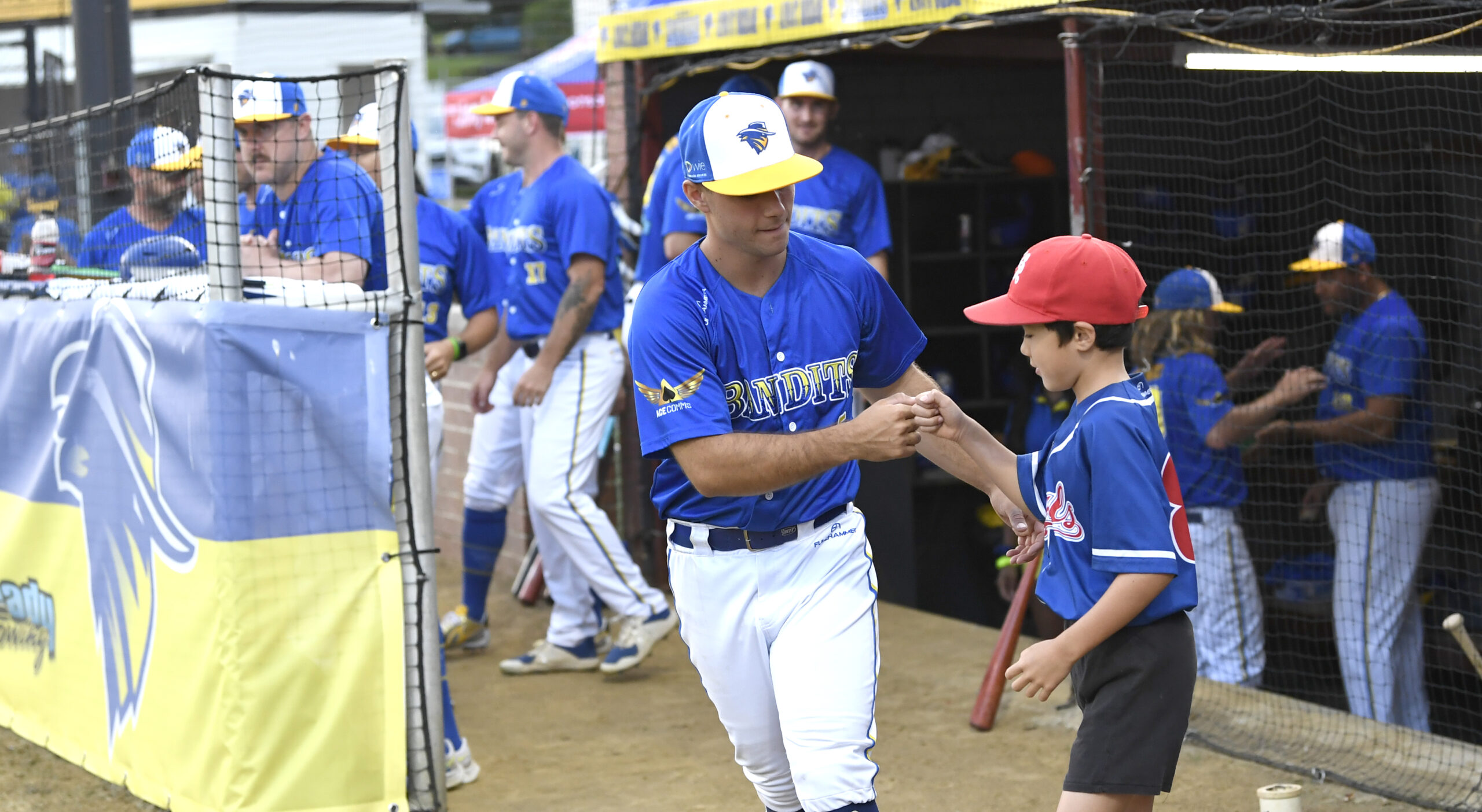 Affiliate Membership – Brisbane Bandits Merch