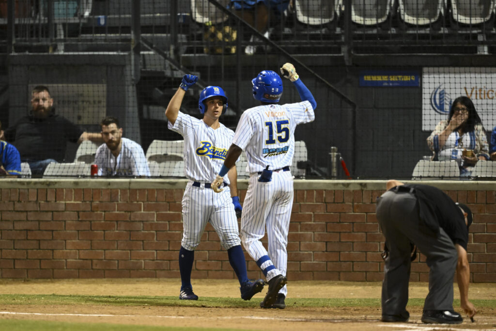 Bandits+ – Brisbane Bandits Merch